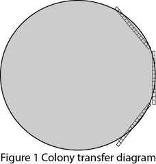 Protocol1: Fungicide Sensitivity